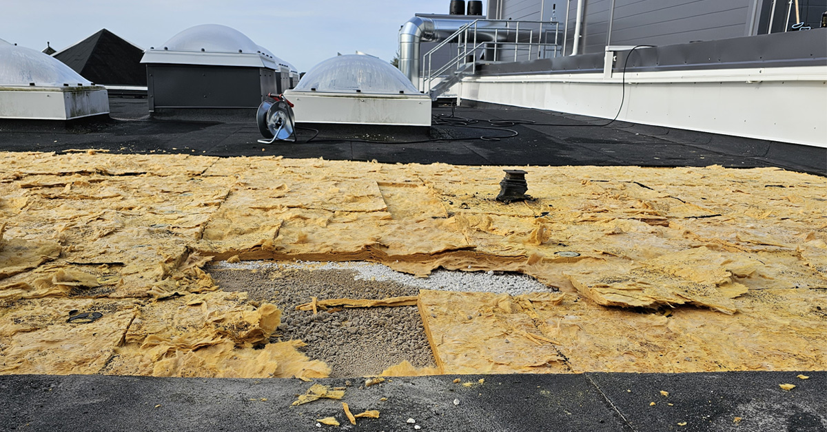 Smart Leak Detectors for Roof Leak Detection | VILPE Sense